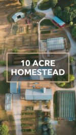 10 Acre Homestead Ideas and Layouts