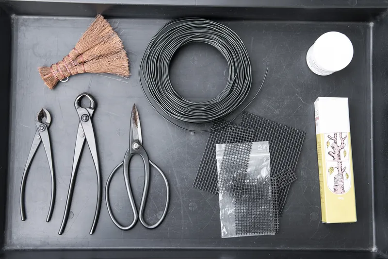 How Many Bonsai Tools Do You Need - Bonsai Mary