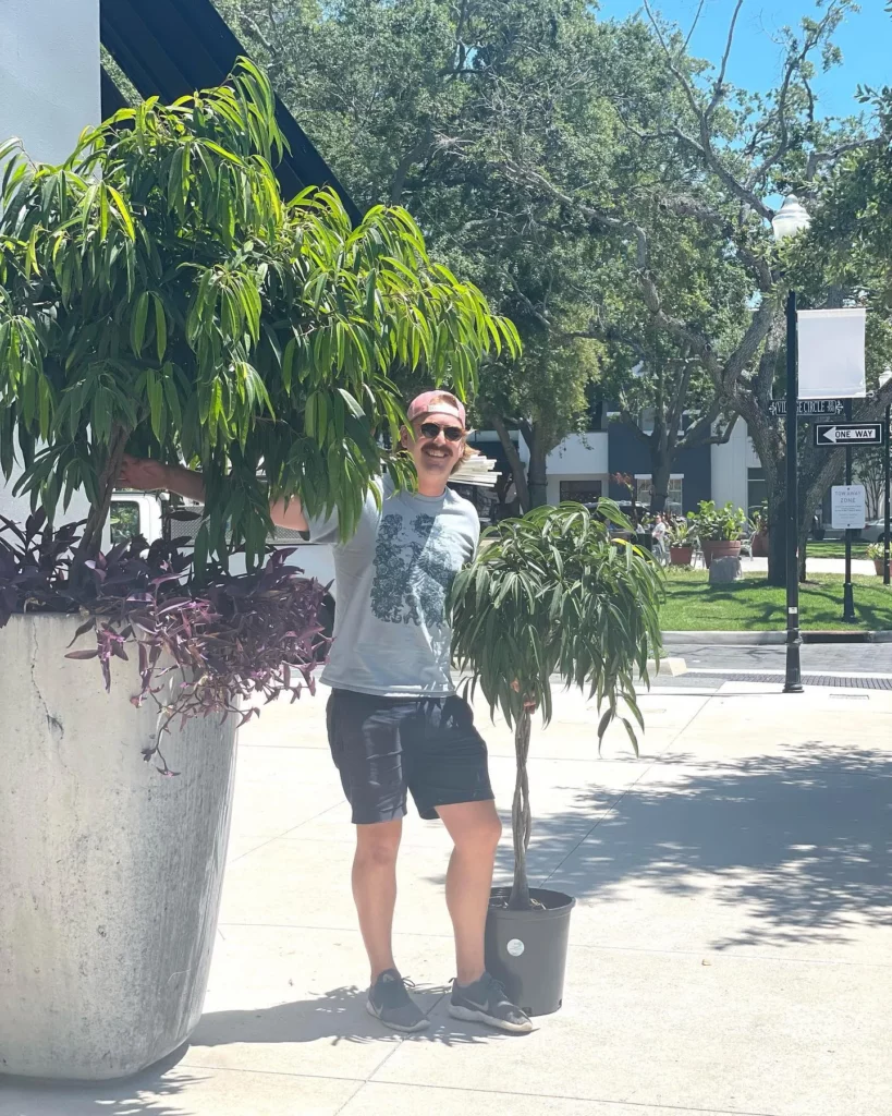 Advanced Ficus 'Alii' Care Strategies: Expert Gardening Tips