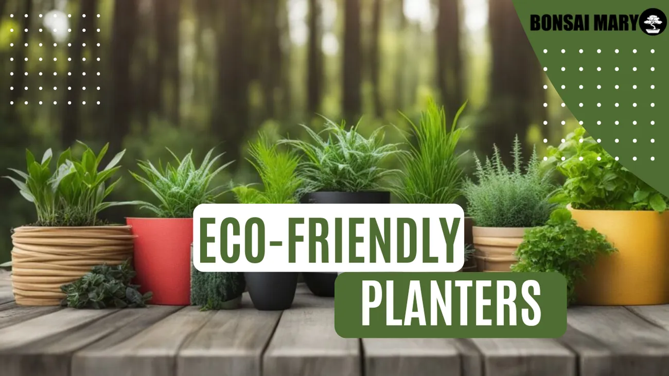 The Rise of Eco-Friendly Planters - 2024's Latest Houseplant Craze