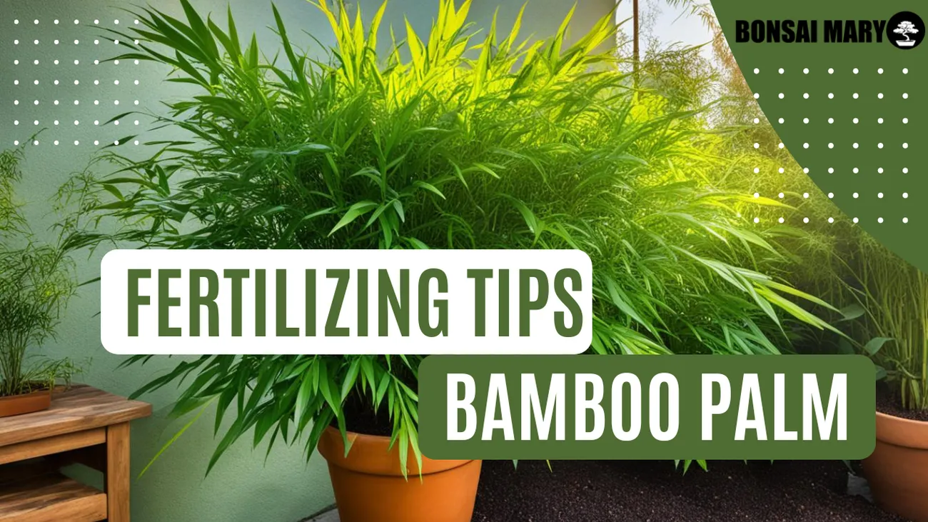 Bamboo Palm Fertilizing Tips for Healthy Growth