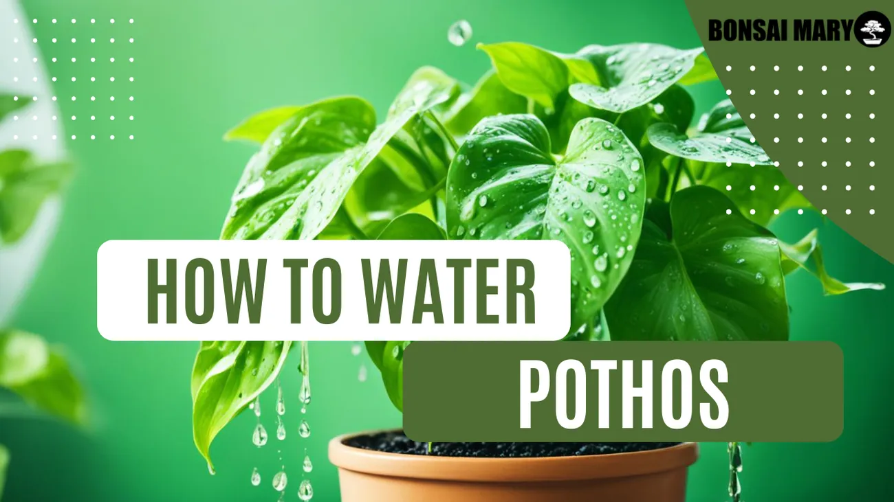 Pothos Watering Guide for Houseplant Lovers