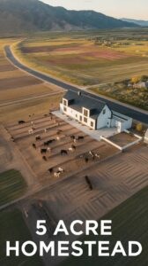 5 Acre Homesteading Ideas